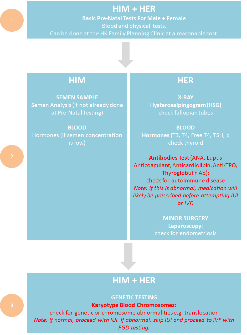 The Infertility Flow Chart – Tests You Should Do Before Starting ...
