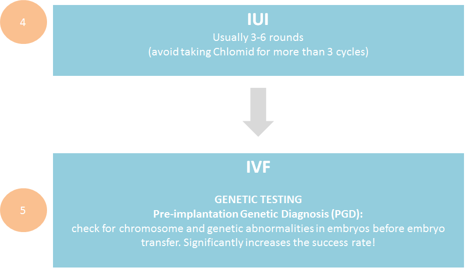 The Infertility Flow Chart – Tests You Should Do Before Starting ...
